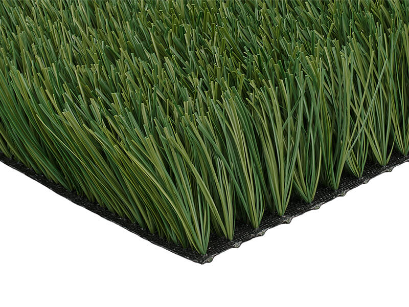Superb - CCGrass